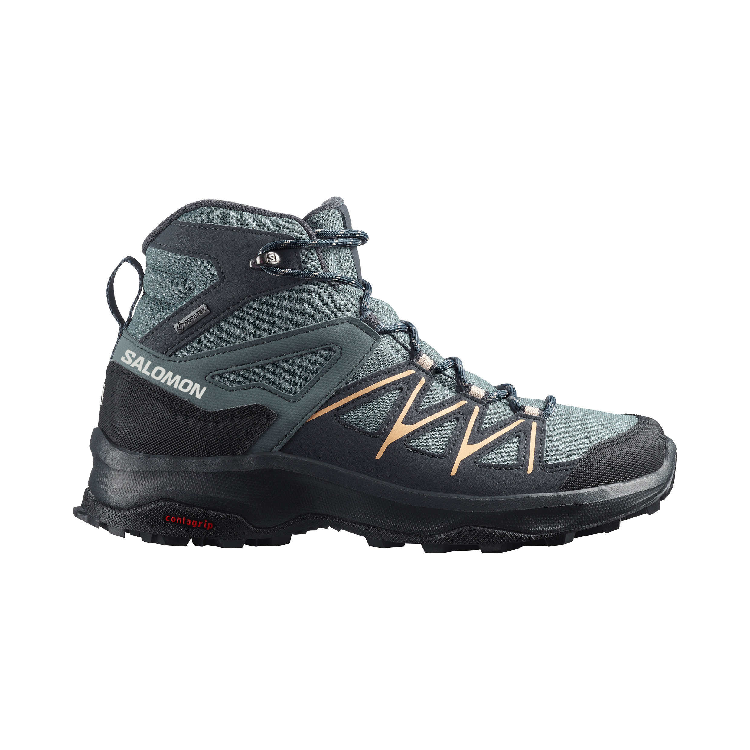 DAINTREE MID GORE-TEX Blue | Salomon